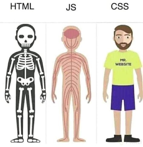 HTML y CSS: Fundamentos para Desarrolladores Web